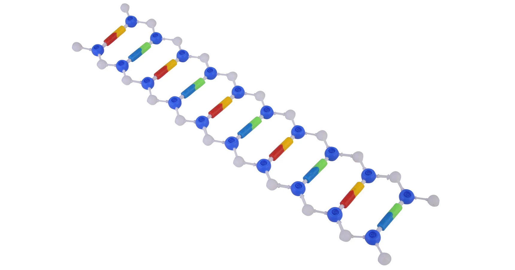 Model ADN - mic - bdidact.ro