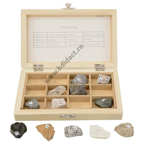 Set de roci magmatice - 12 bucăți - bdidact.ro