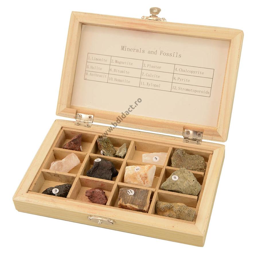 Set de mostre de roci minerale - 12 bucăți - bdidact.ro
